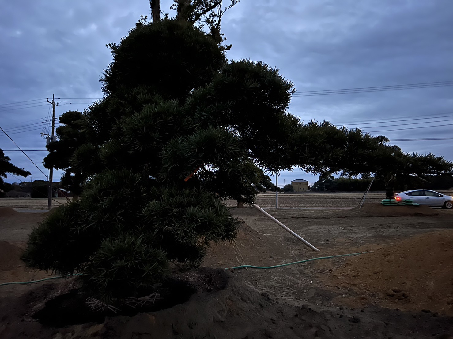 Dashu.jp | 大樹.jp