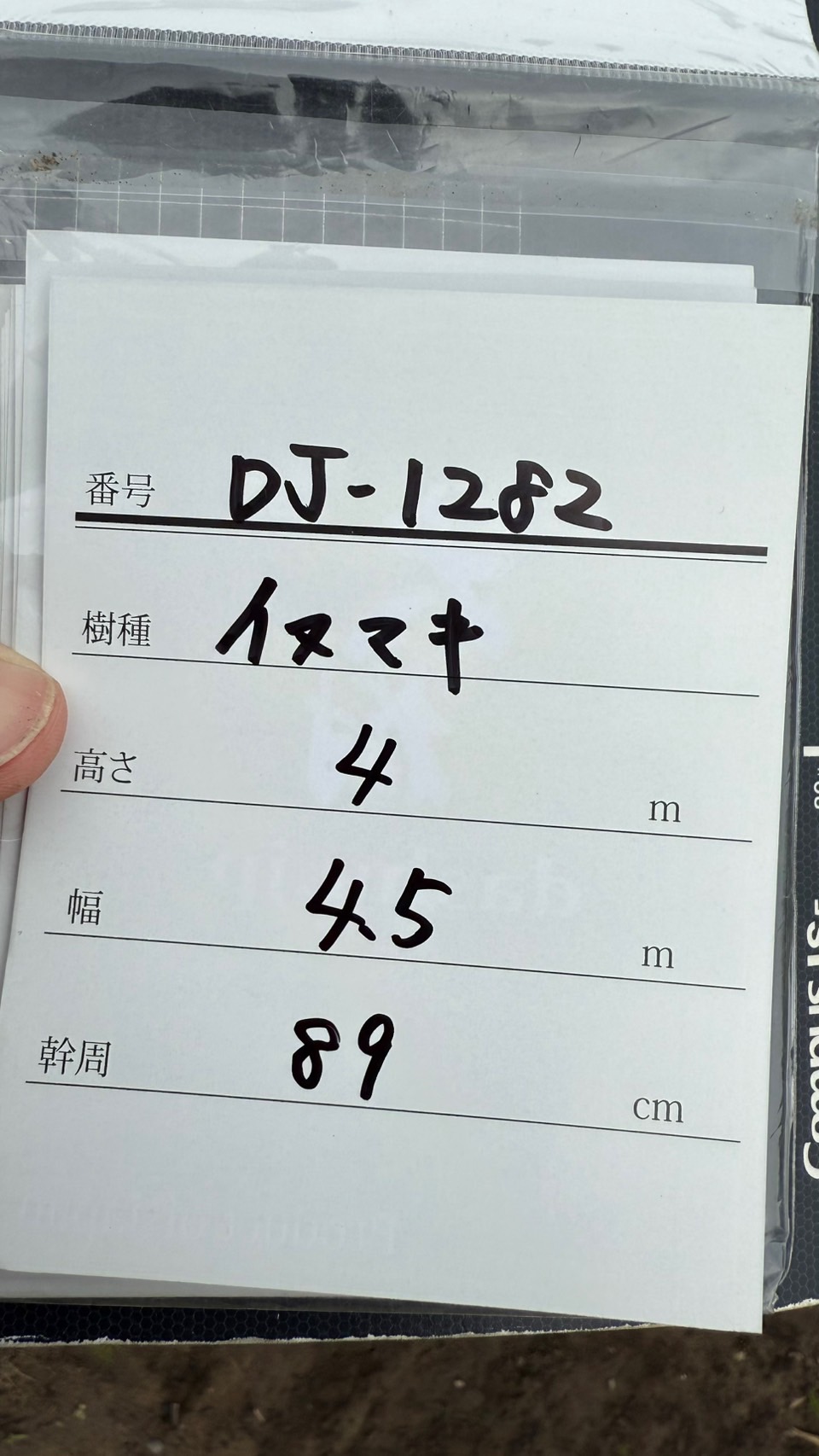 Dashu.jp | 大樹.jp