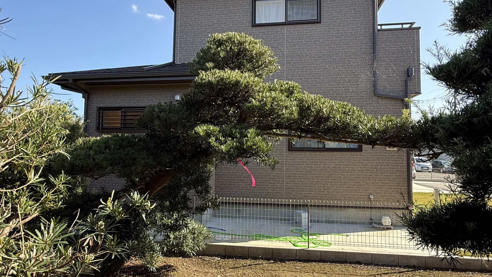 Dashu.jp | 大樹.jp