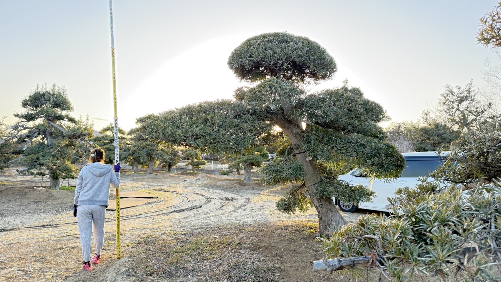 Dashu.jp | 大樹.jp